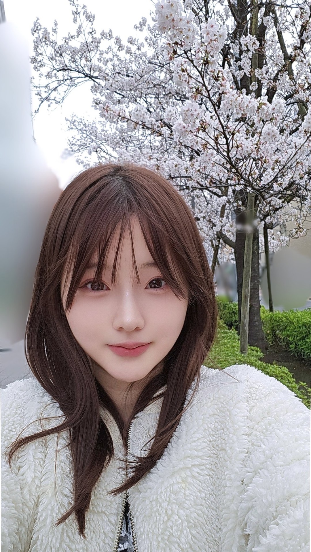 丸石レア (丸石稀有,Maruishi Rea)人物百科资料及影视作品 - 影迷之家