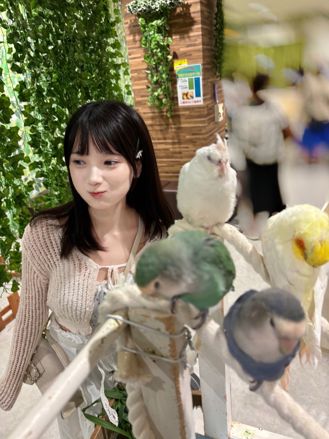 榊原萌 (Sakakibara Moe)人物百科资料及影视作品 - 影迷之家