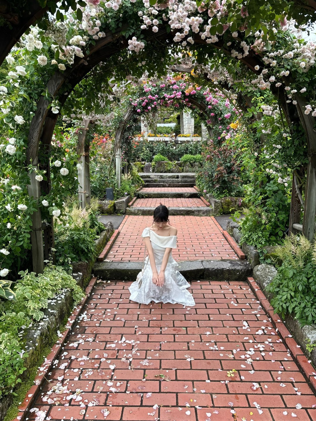 榊原萌 (Sakakibara Moe)人物百科资料及影视作品 - 影迷之家