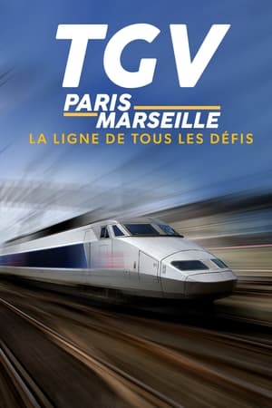 TGV Paris-Marseille, la ligne de tous les défis(2022)电影高清预告,完整版剧情 - 影迷之家
