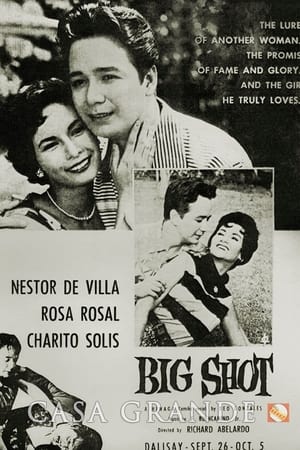 Big Shot(1956)电影高清预告,完整版剧情 - 影迷之家